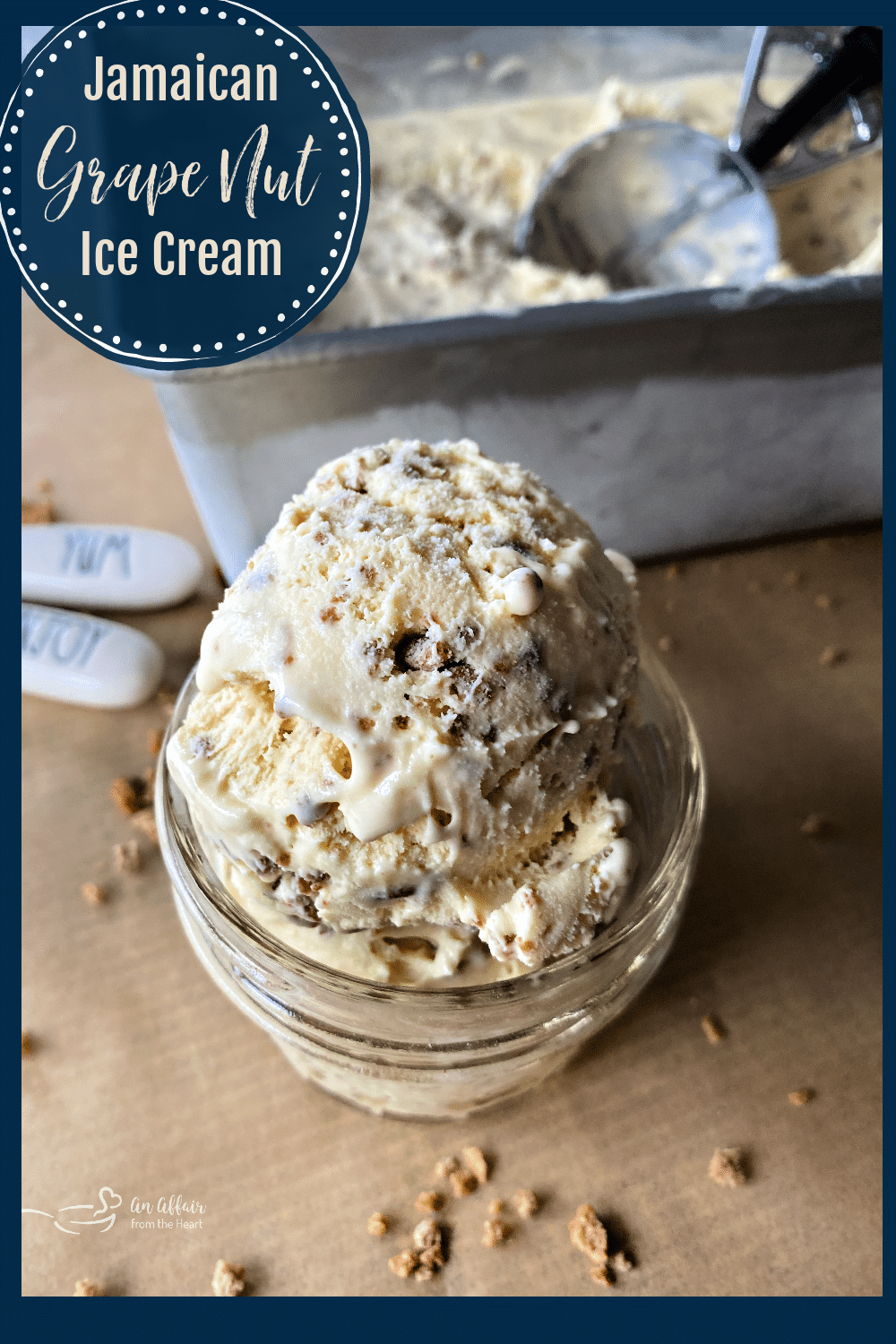 Grape Nut Ice Cream - we discovered this amazing ice cream in Jamaica!