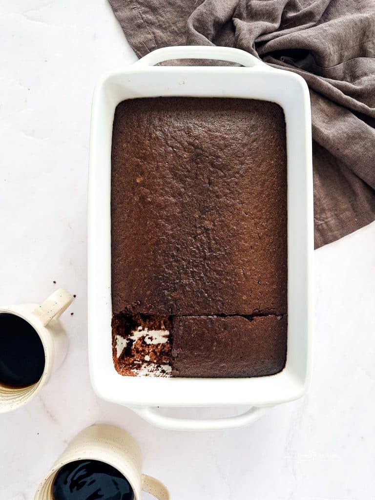 Chocolate Depression Cake Recipe (no eggs or dairy)