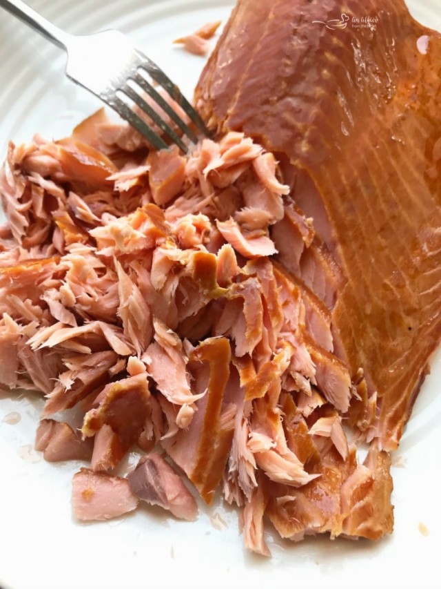 Smoked Salmon - Easy Step by Step Instructions for smoking salmon.