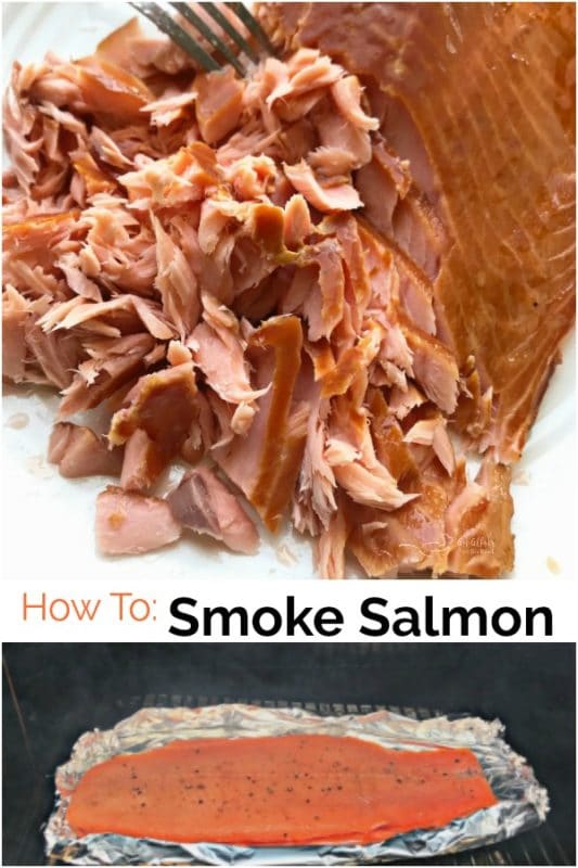 Smoked Salmon - Easy Step by Step Instructions for smoking salmon.