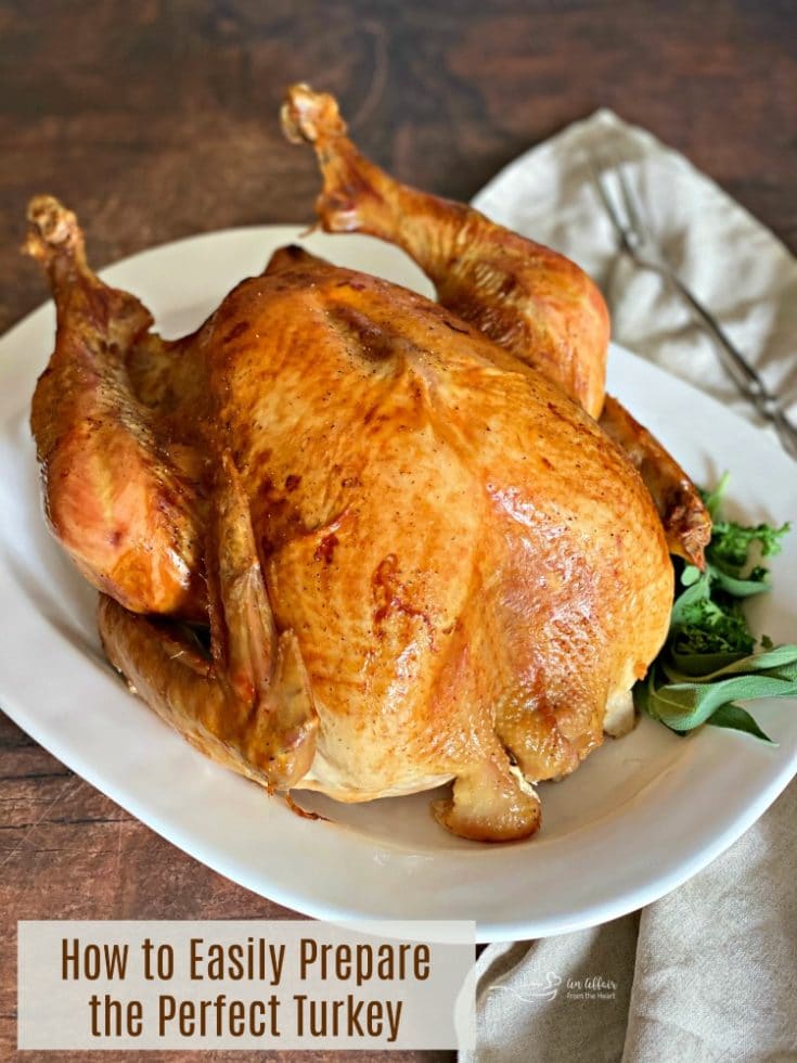 How to Prepare a Turkey and Homemade Turkey Gravy like a Pro!
