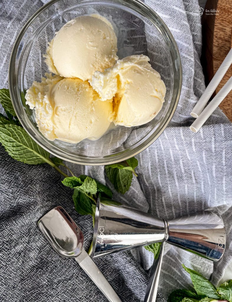 The BEST Grasshopper Cocktail - Boozy Chocolate Mint Ice Cream Drink