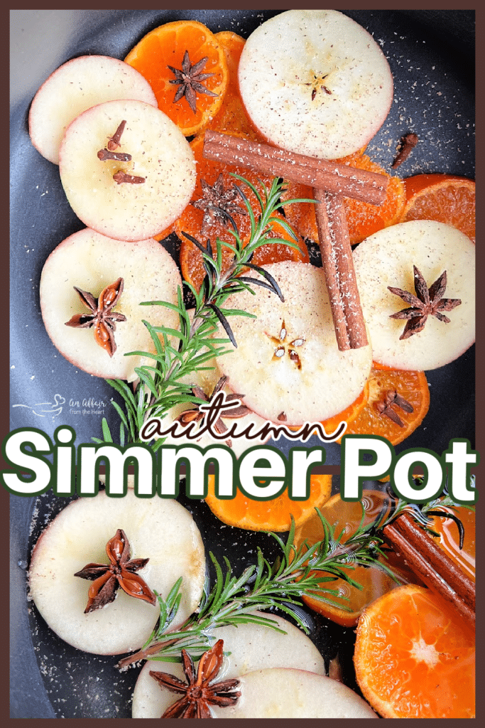 How to Make a Cozy Autumn Simmer Pot