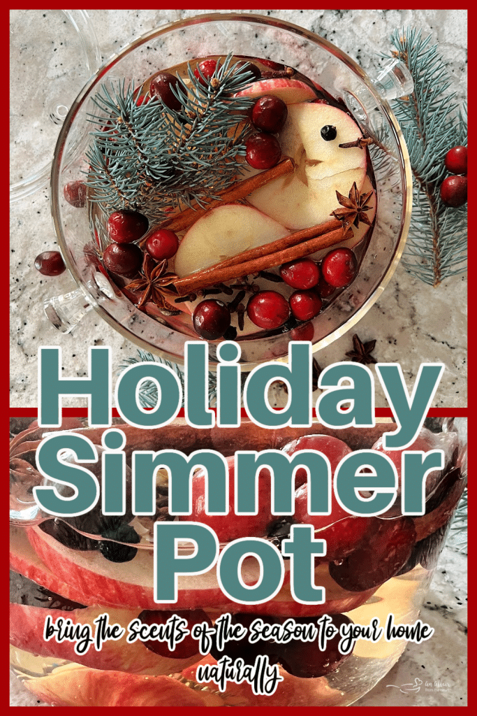 Holiday Simmer Pot Recipe (+ Free Printable Gift Tags)