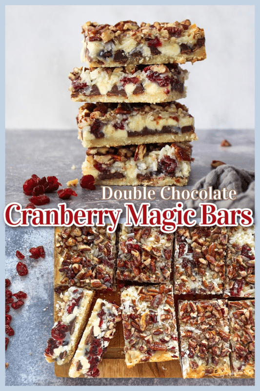 Double Chocolate Cranberry Magic Bars